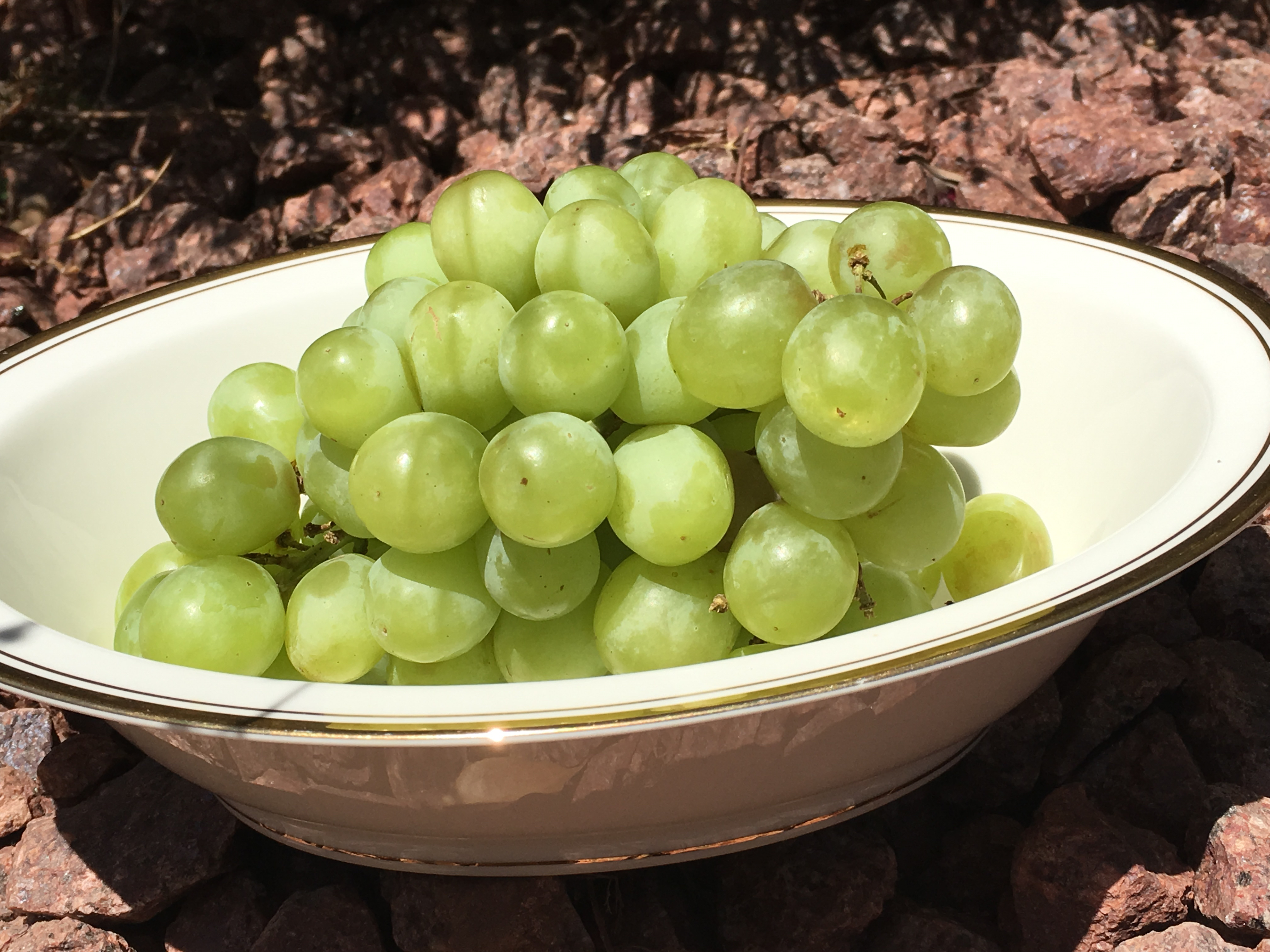 An Authentic Walk with God - Let's Walk Together in God's Promises